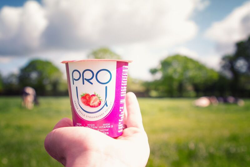 Yogurt for Bones and Muscles | ILoveCooking