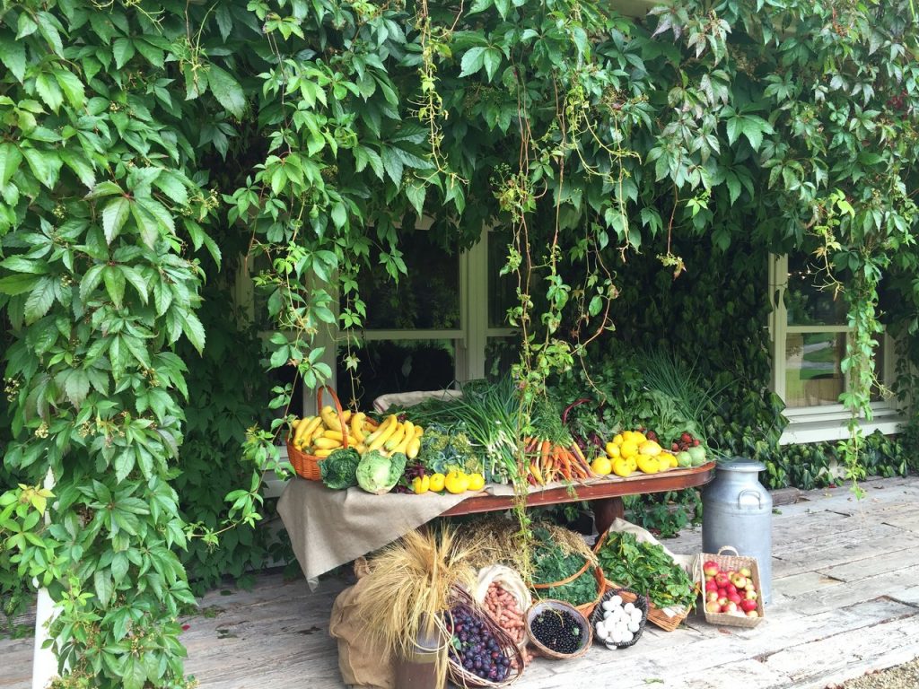 The Big Harvest | ILoveCooking