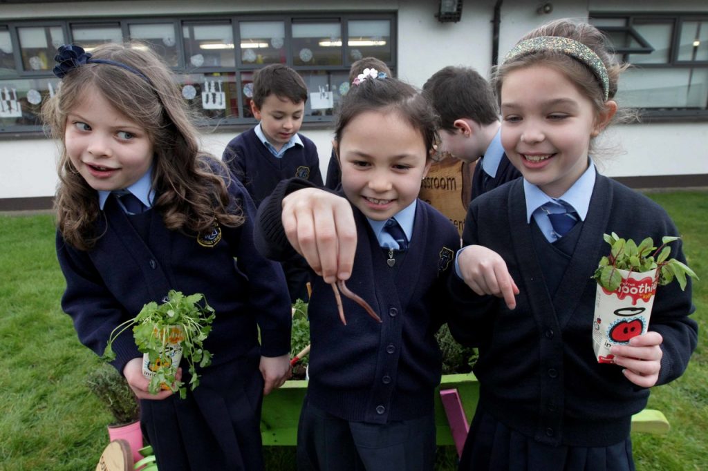 45,000 children to learn to grow their own food at school | ILoveCooking